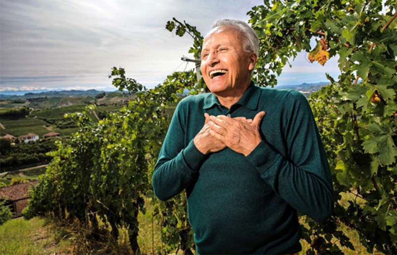 Gaja: Wine Styles, 10 Great Bottles to Buy in 2023, Prices