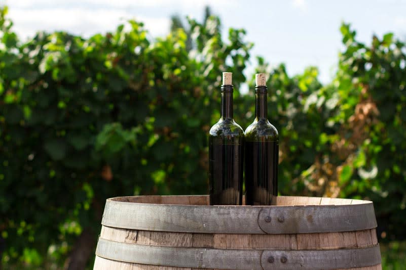 15 Best California Wines To Buy in 2023