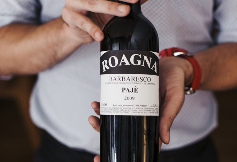 Roagna (Winemaking, Vineyards, Best Wines to Buy in 2024)
