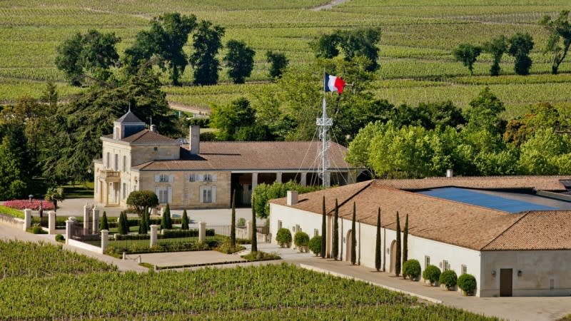 Chateau Montrose (Vineyards, Best Wines, Prices 2024)