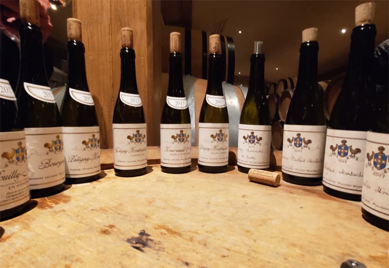 Domaine Leflaive: Winery, Best Wines, Investing (2023)