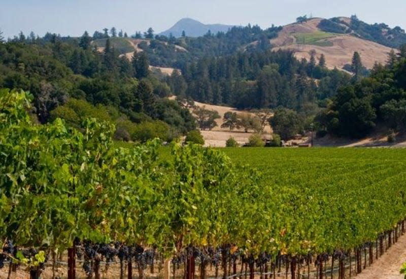 Verite Winery - Vineyards, Wine Styles, Best Wines (2024)