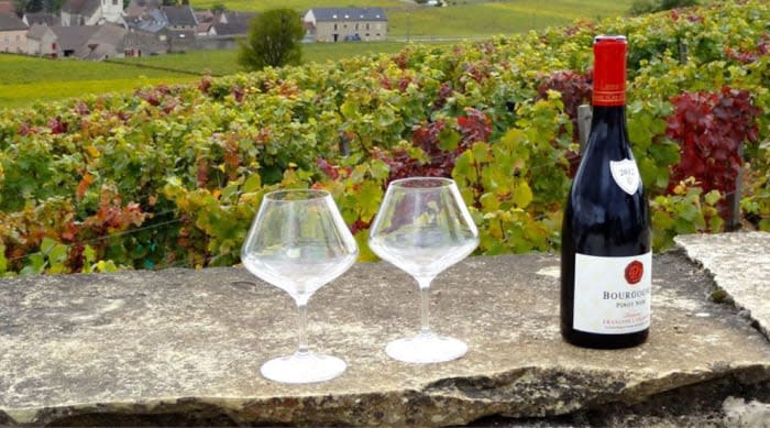 What Is Dry Red Wine? (Characteristics, 10 Best Bottles To Buy)