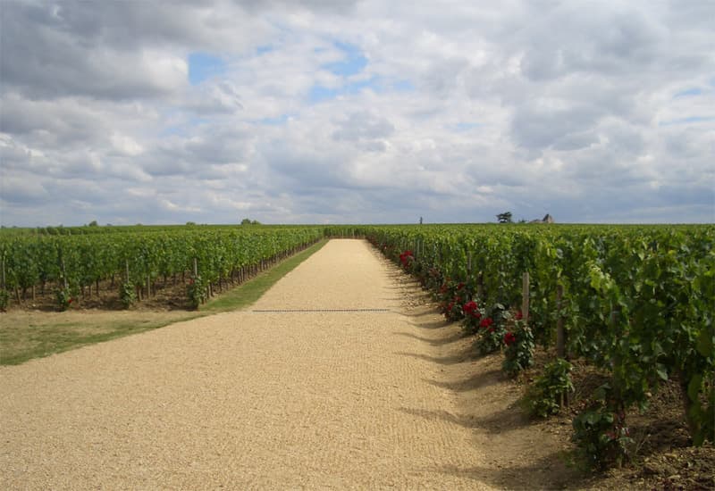 Chateau Petrus, Pomerol: 10 Outstanding Wines To Buy in 2024