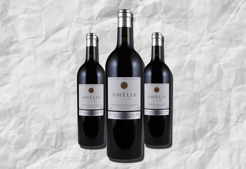 Dominio de Pingus: Wine Styles, Best Wines To Buy (2024)