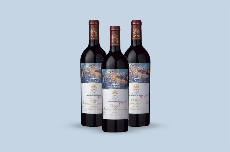 The Iconic Medoc Wine Region (10 Best Wines, Prices 2023)