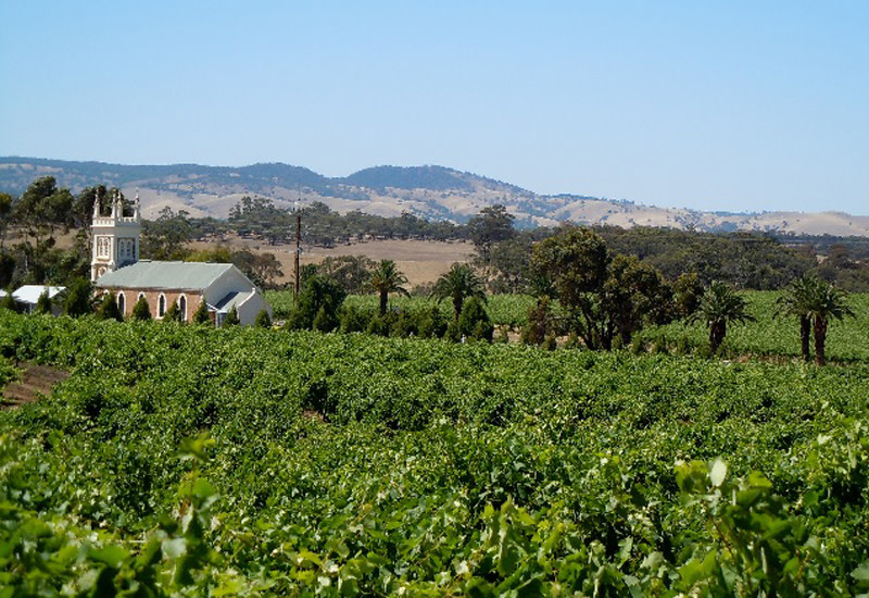 Torbreck Wine - Vineyards, Wine Styles, Best Bottles (2023)