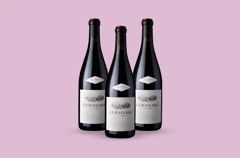 Alvaro Palacios Winery (10 Elegant Spanish Wines, Prices 2024)