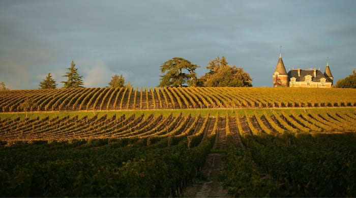 Guide to Sauternes, Bordeaux: 10 Best Wines To Buy in 2024