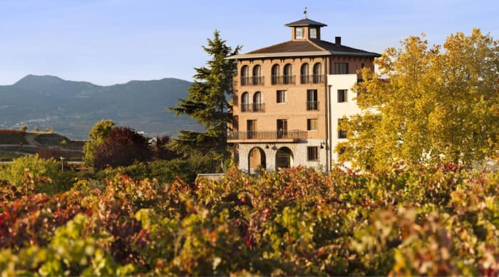 Spanish Red Wine (Regions, Prices, Best Wines to Buy in 2024)