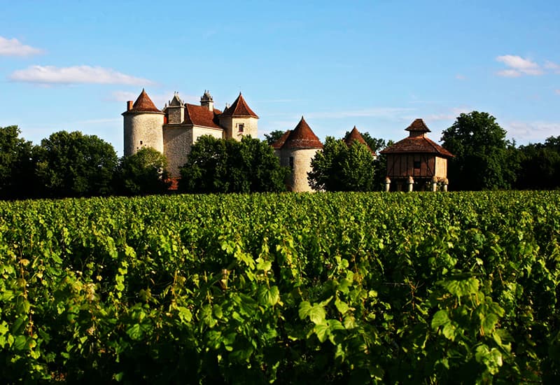 Malbec Wine - Winemaking, Best Wines, Prices (2023)