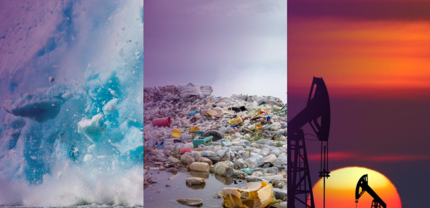 循環型経済に向けた、エンバリオ社のサステナビリティ施策 - plaplat