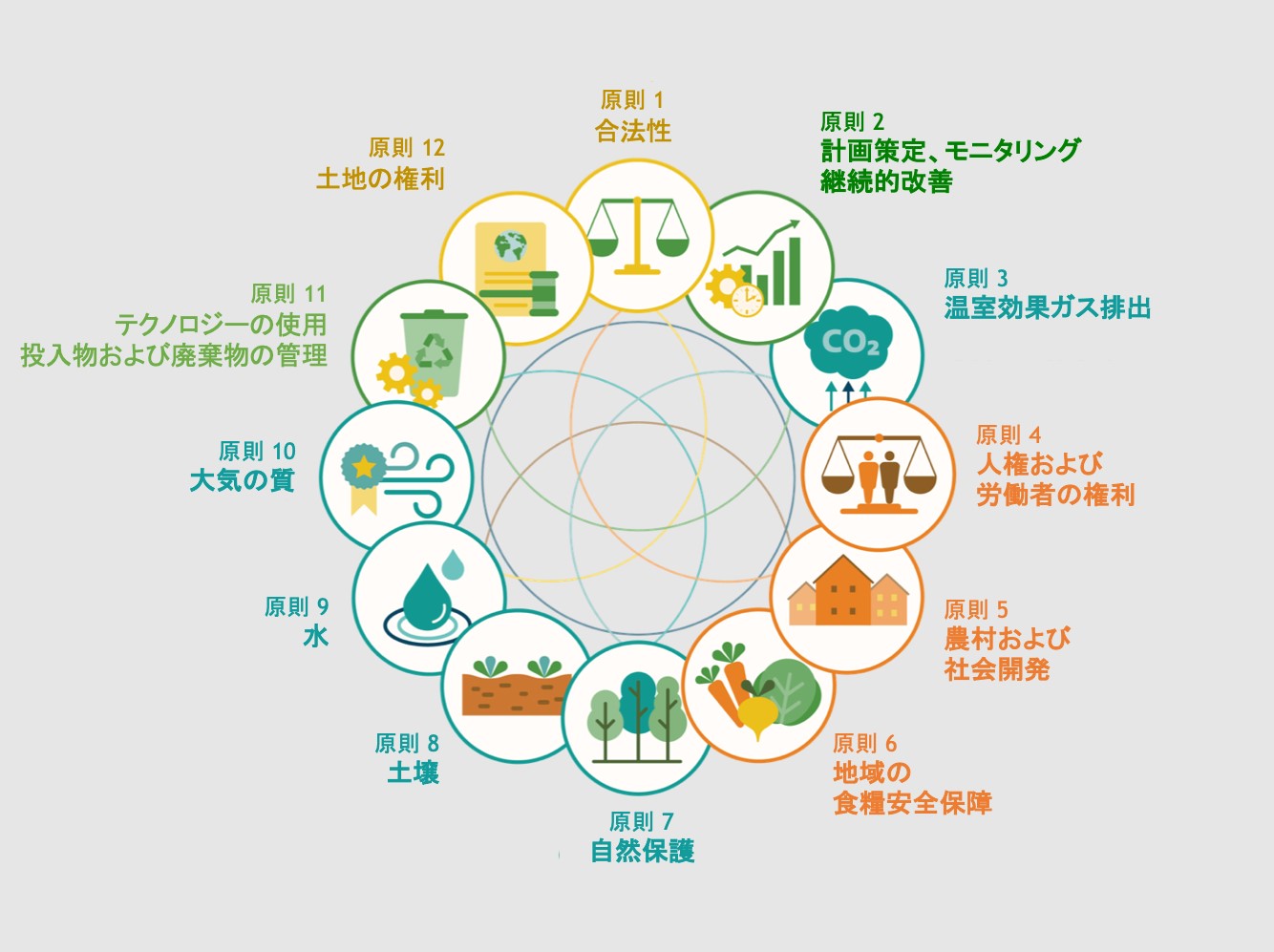 【解説】バイオマスプラスチックに関する規格・認証③「RSB」 - plaplat