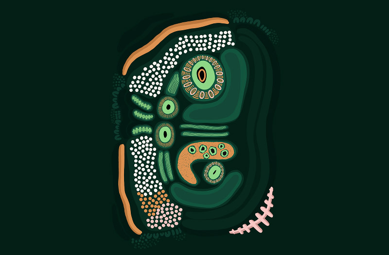 nib Group launches third Reconciliation Action Plan | nib