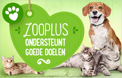 Goede doelen & zooplus.nl