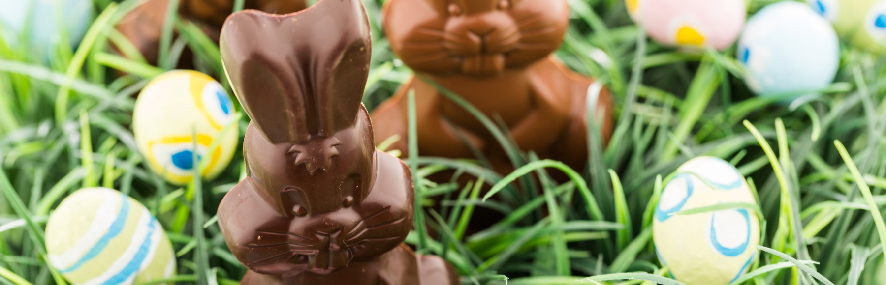 Easter Survival Guide