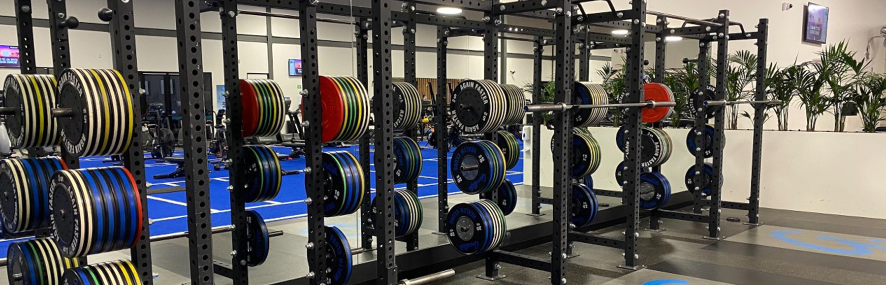 Goodlife Mornington Gym | Mornington Peninsula, VIC | Goodlife Health ...