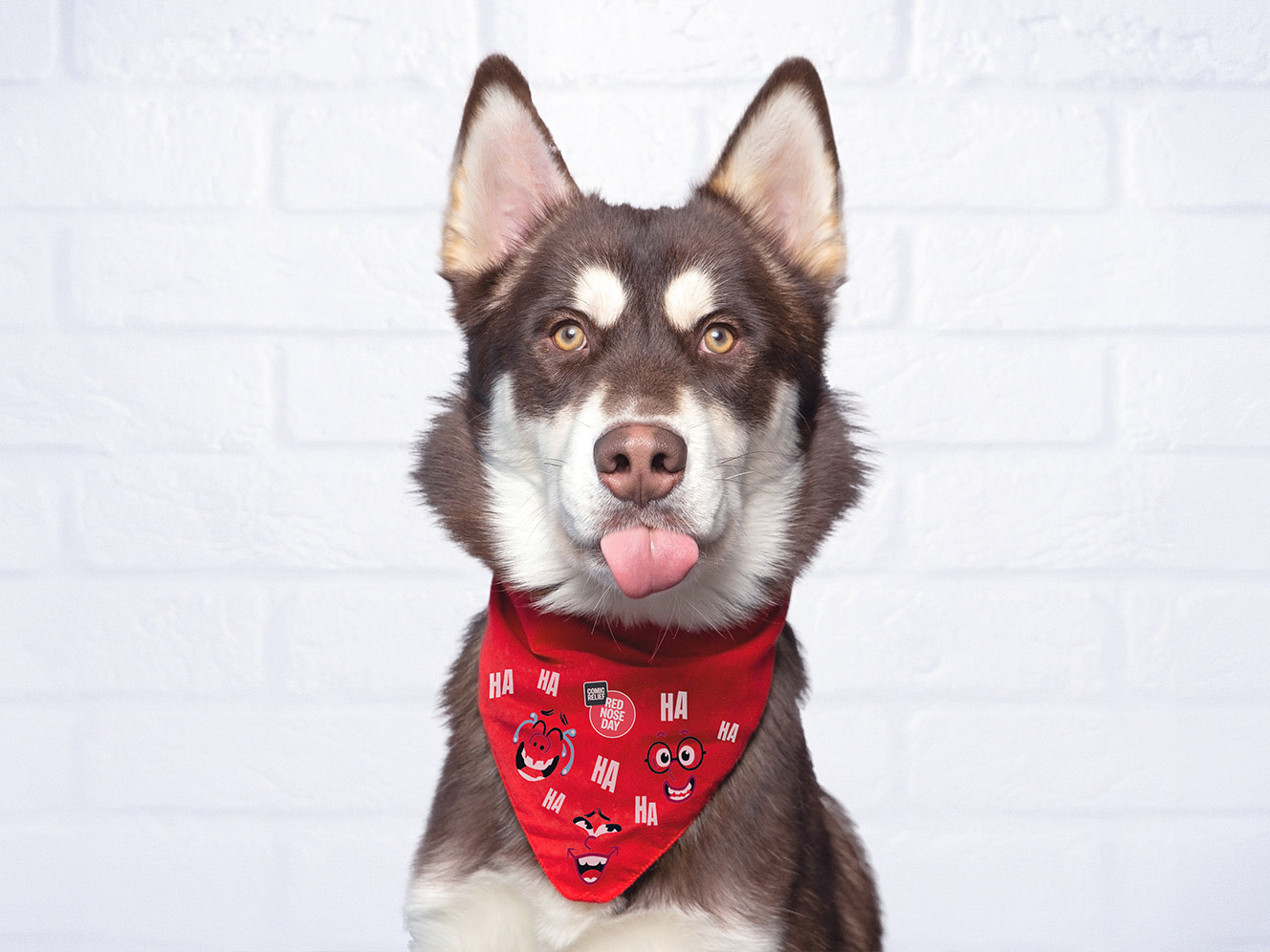 The New Red Nose | Comic Relief