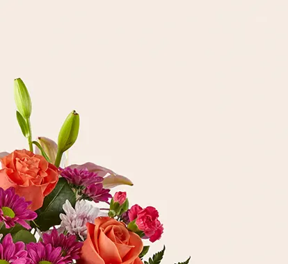 Proflowers’ Flower Collection | Proflowers