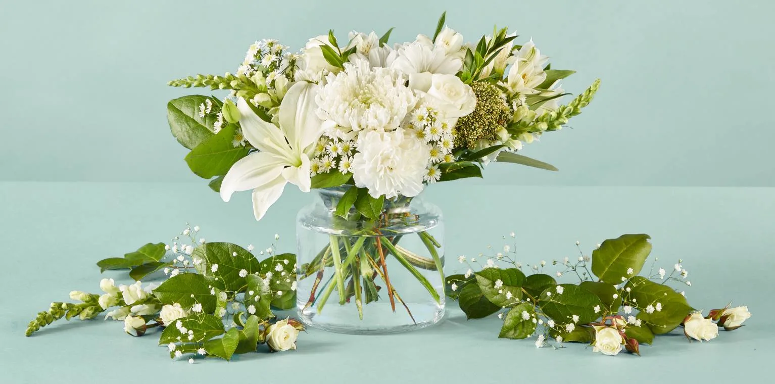Flower Delivery: Order Flowers Online | Proflowers
