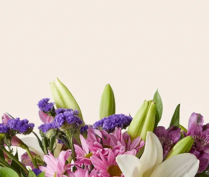 Proflowers’ Flower Collection | Proflowers