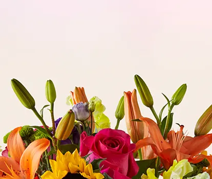 Flower Delivery in Dallas, Texas | Proflowers