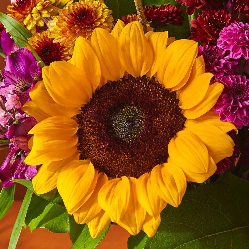 Fall Collection 2022: Fall Delivery | FTD