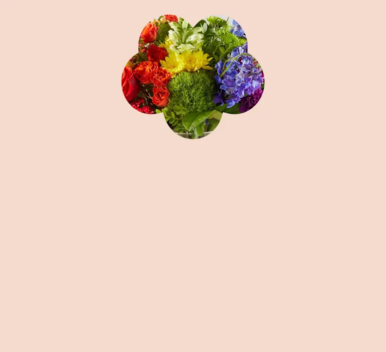 Flower Delivery: Order Flowers Online | Proflowers