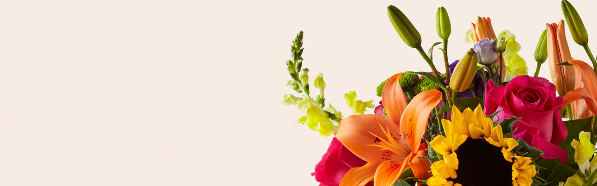 Proflowers’ Flower Collection | Proflowers