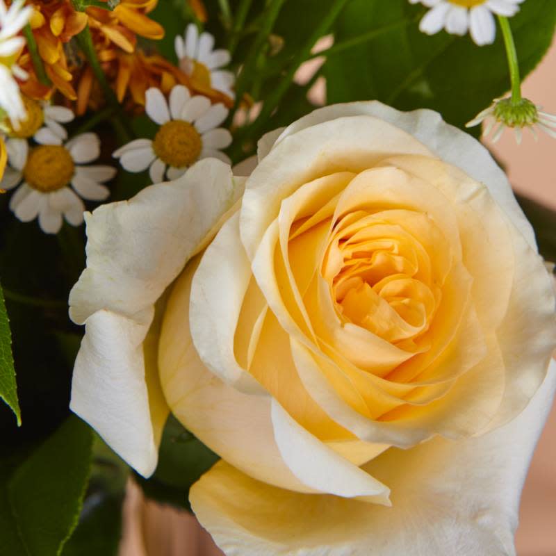 Flower Delivery: Order Flowers Online | Proflowers