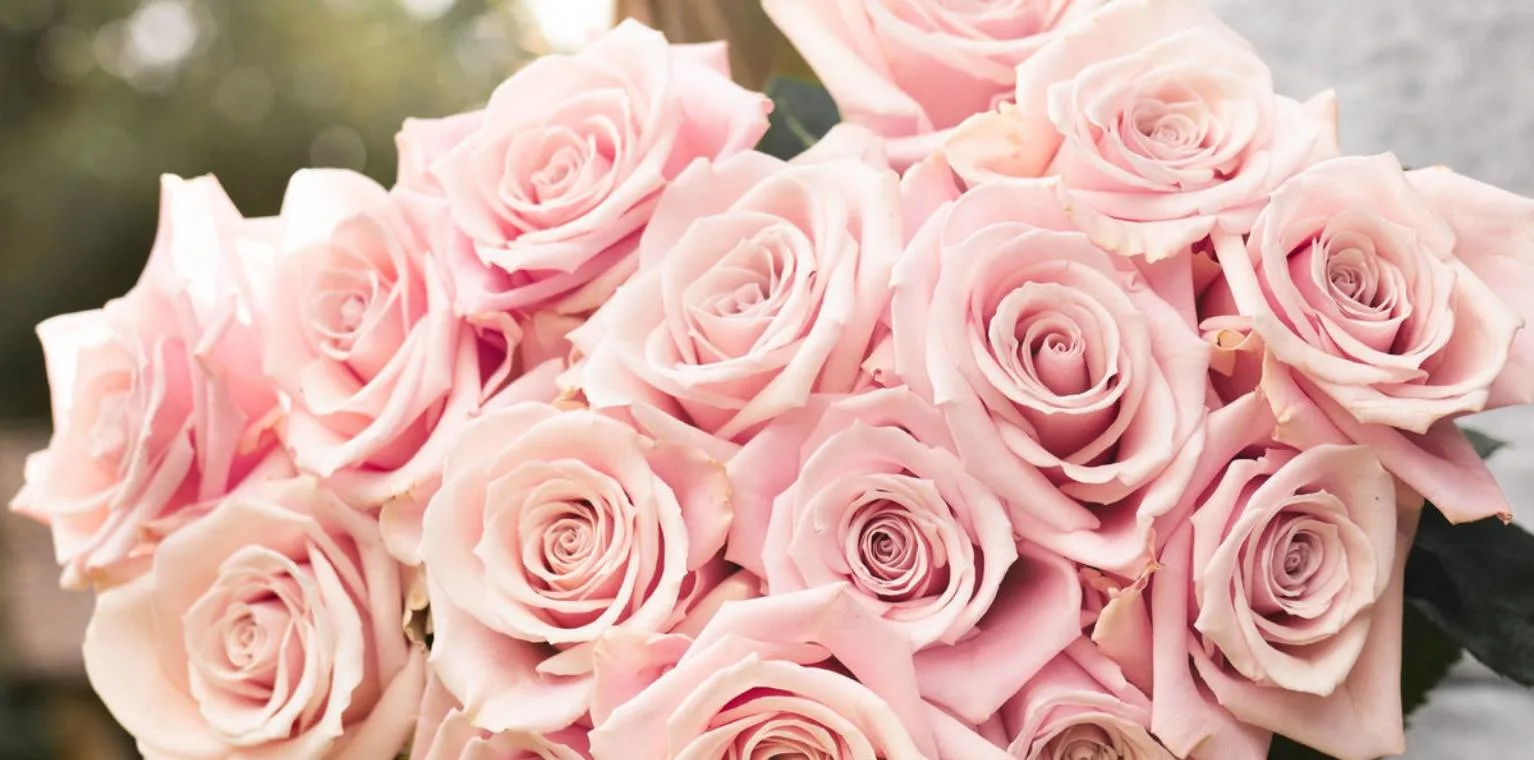 Flower Delivery: Order Flowers Online | Proflowers