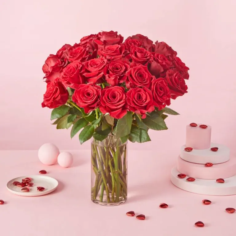 Valentine's Day Collection 2025 | Proflowers