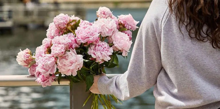 Flower Delivery: Order Flowers Online | Proflowers