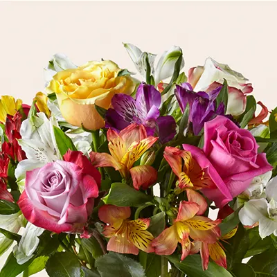 Shop Flowers by Color | Proflowers