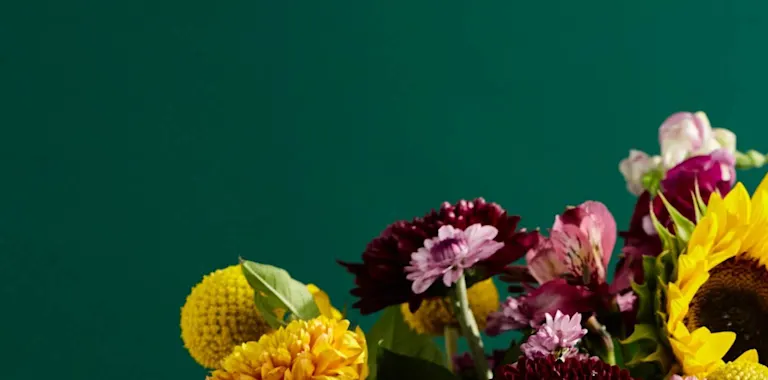 Flower Delivery: Order Flowers Online | Proflowers