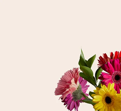 Proflowers’ Flower Collection | Proflowers