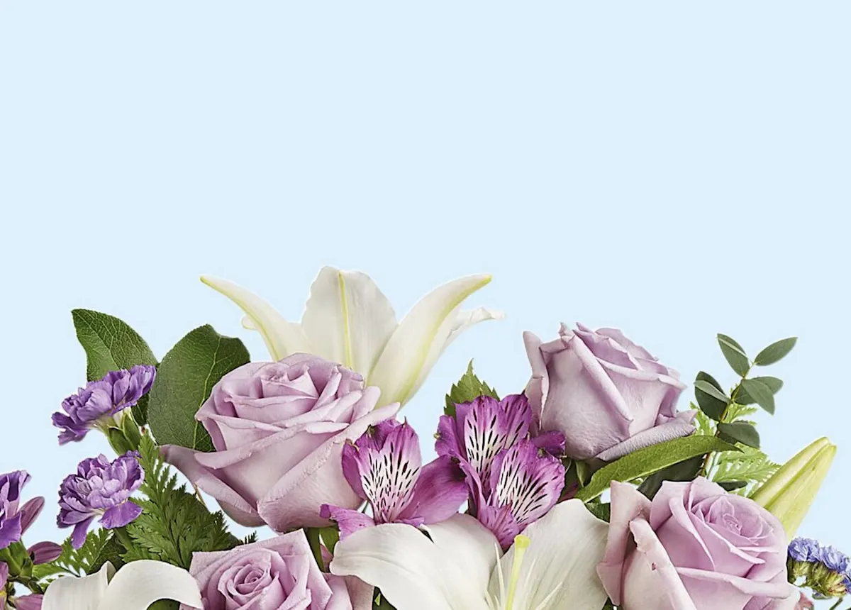 Flower Delivery: Order Flowers Online | Proflowers