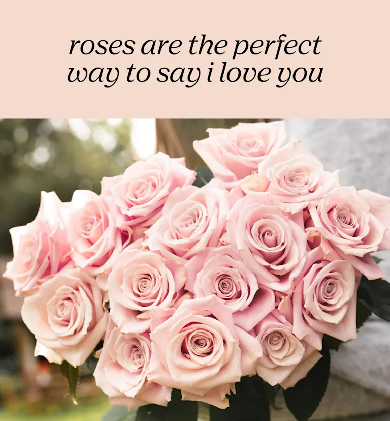 Long Stem Roses Delivery | Proflowers