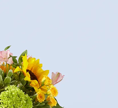 Proflowers’ Flower Collection | Proflowers