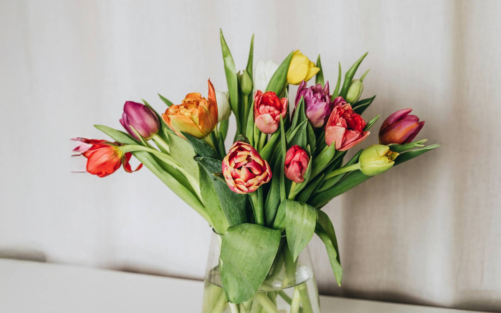 Spring Collection: Flowers, Plants & Gifts | Proflowers