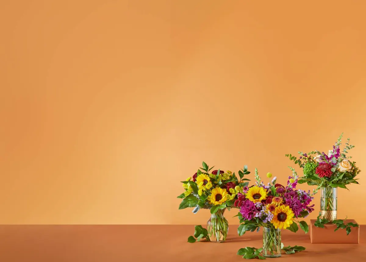 Flower Delivery: Order Flowers Online | Proflowers