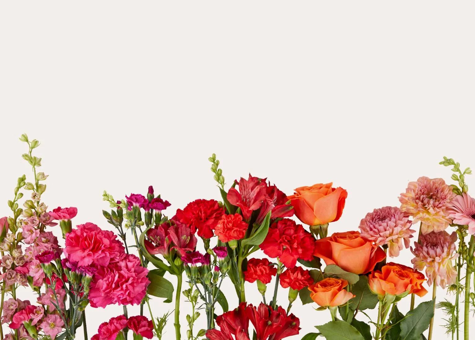 Flower Delivery: Order Flowers Online | Proflowers