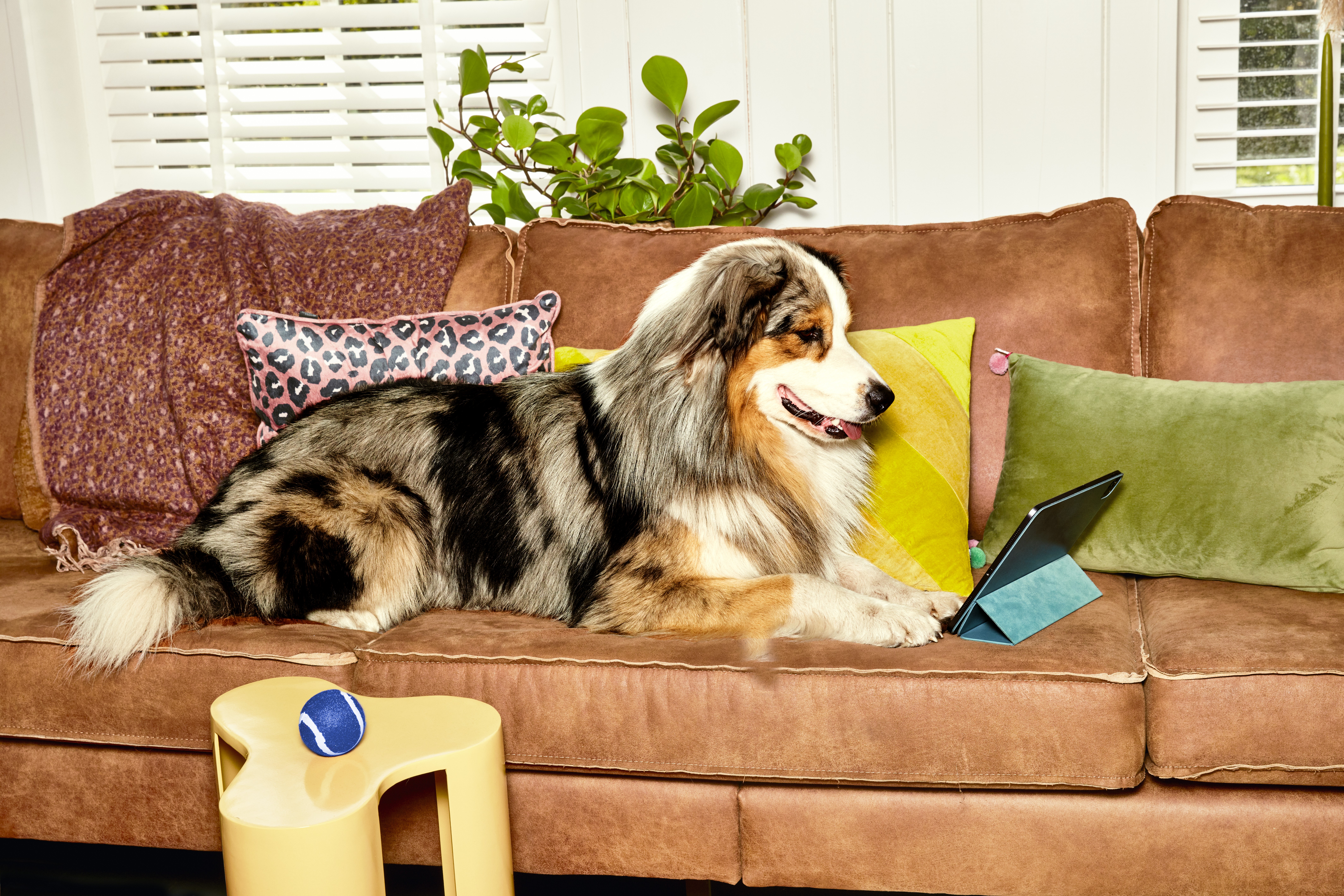 Glasvezel Delta Fiber Nederland | KPN