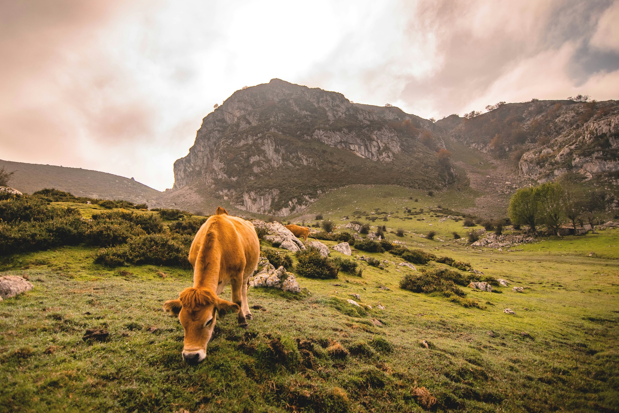 Spanish Lesson: La Naturaleza De Asturias