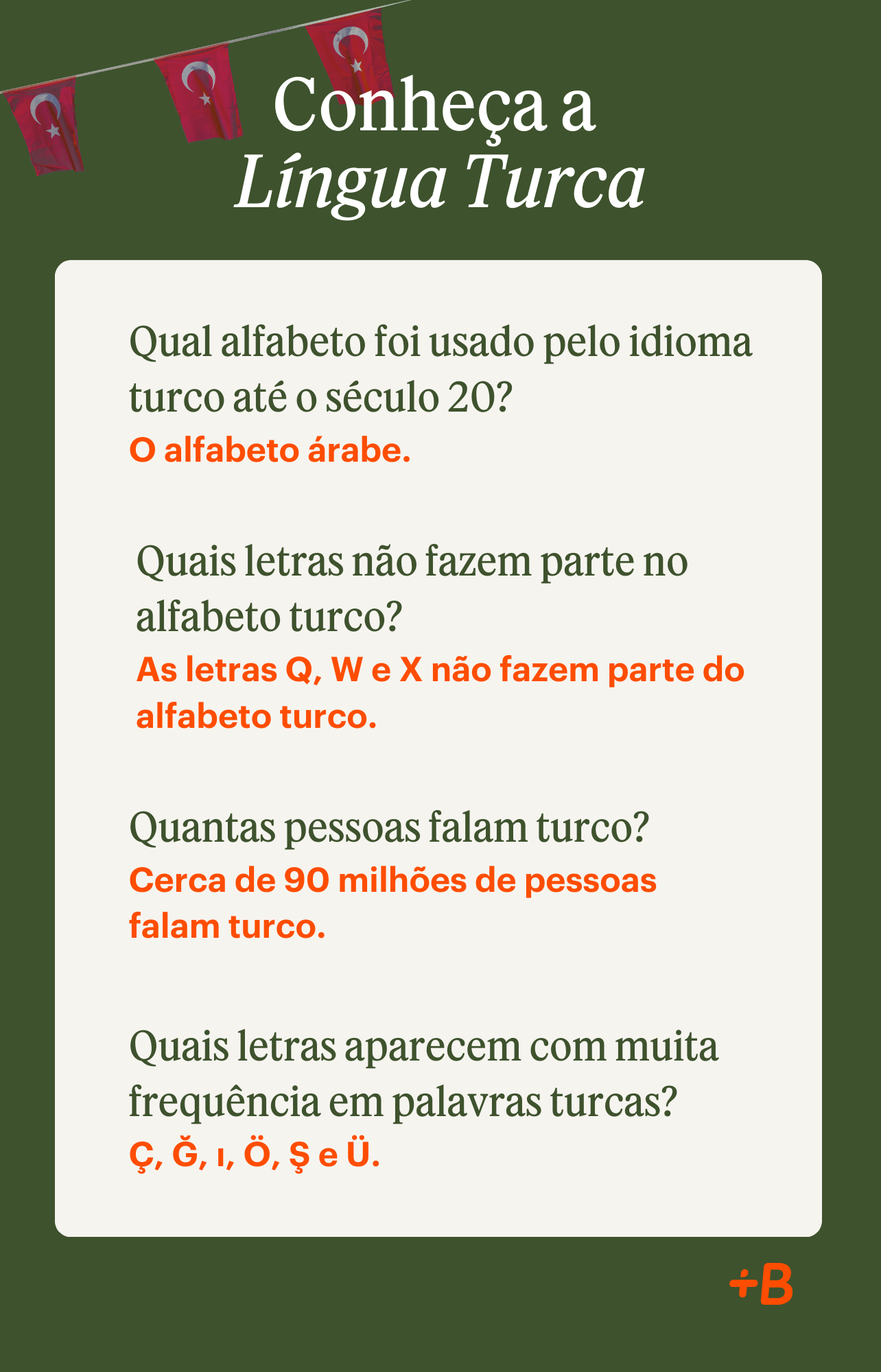Aprender Turco: descubra como dominar o Idioma com facilidade