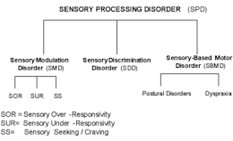 Sensory Processing Disorder Types And Definition Otsimo 2022 