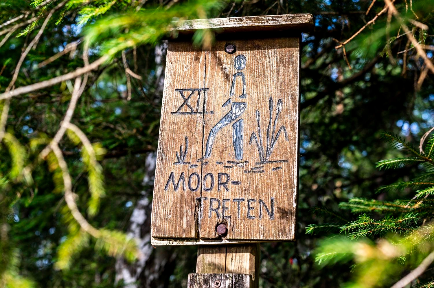 The moorlands of upper swabia
