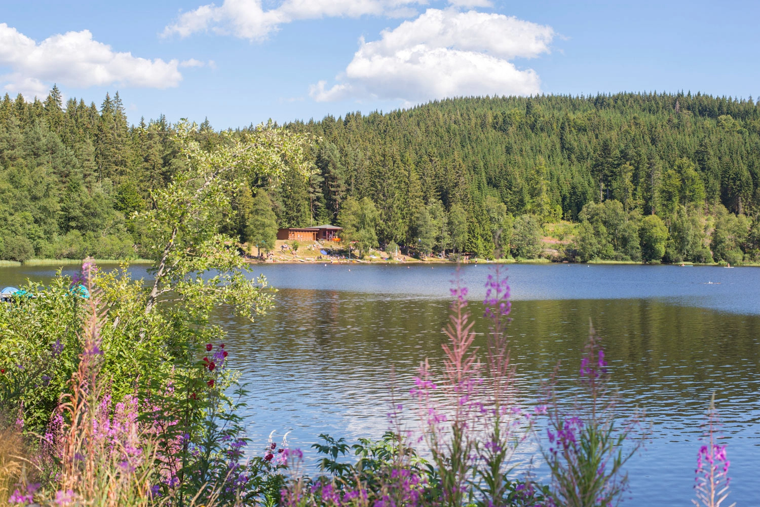 Natural Lakes in Southwest Germany