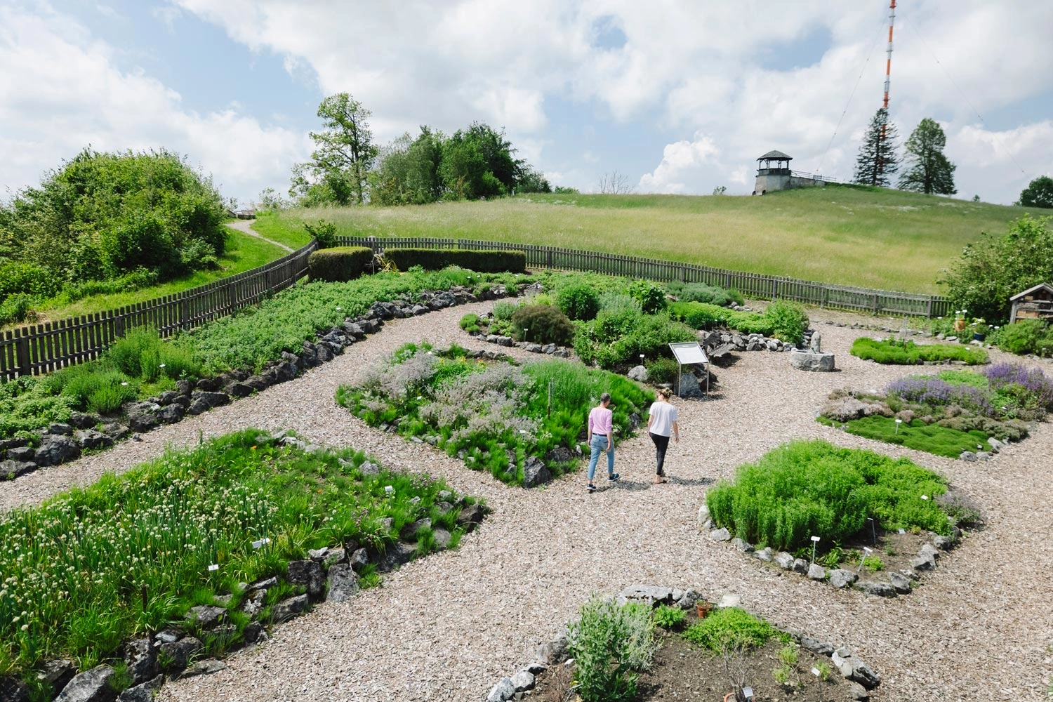 A Herb Tour on Mount Höchsten