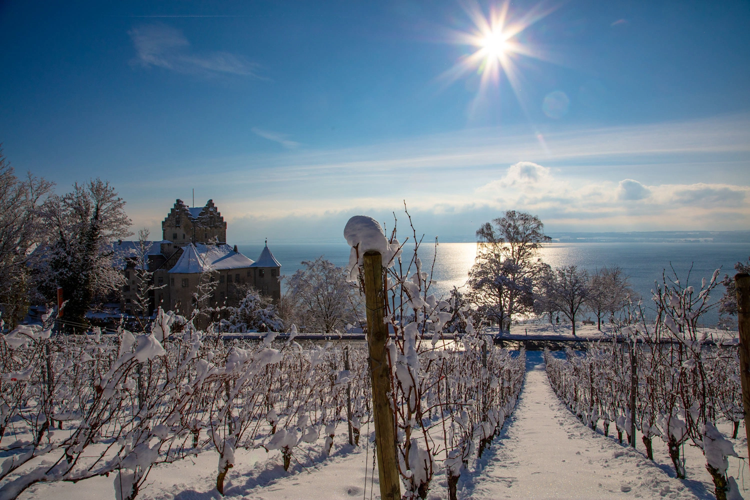 Winterliche Wein-Events in Baden-Württembeg